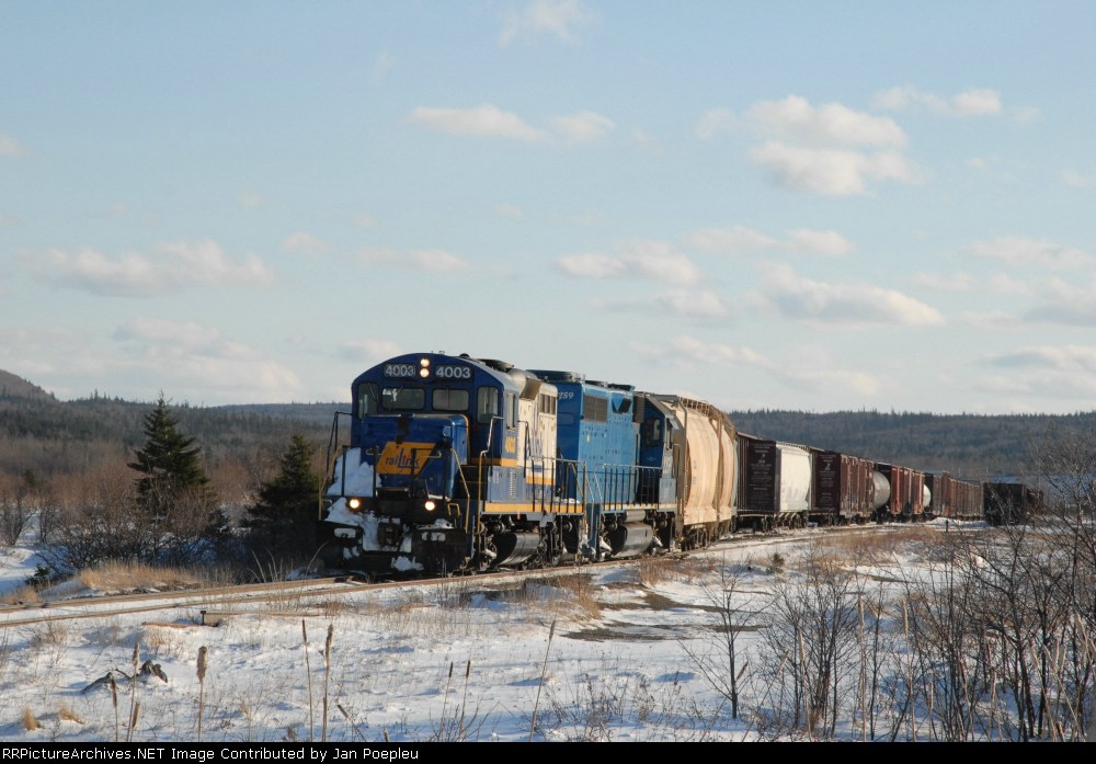 RLK 4003 + LLPX 2259 (CBNS)